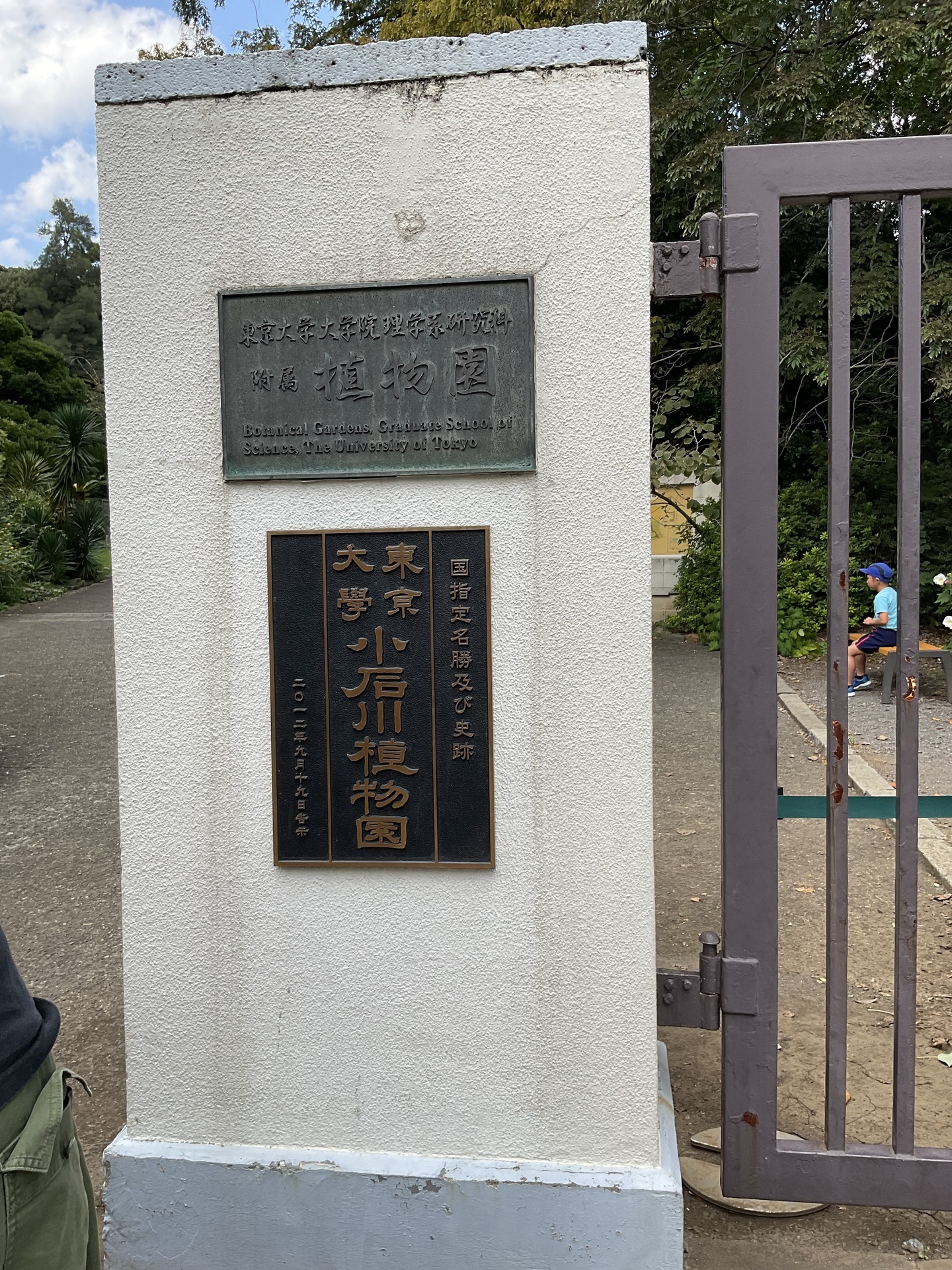 関東旅行4 ②朝ドラ『らんまん』＆アニメ『江戸前エルフ』聖地巡り: 海と陸の間にある世界