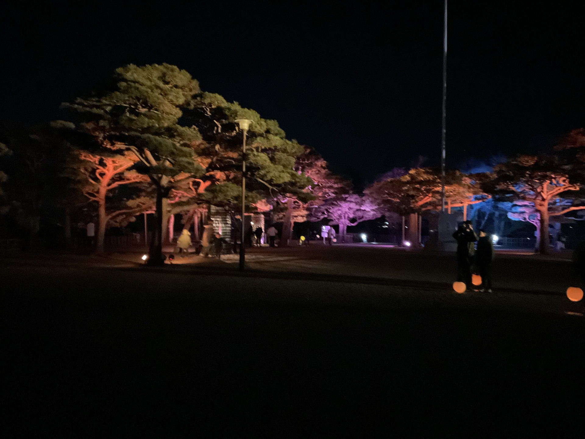 これが始まると: 海と陸の間にある世界